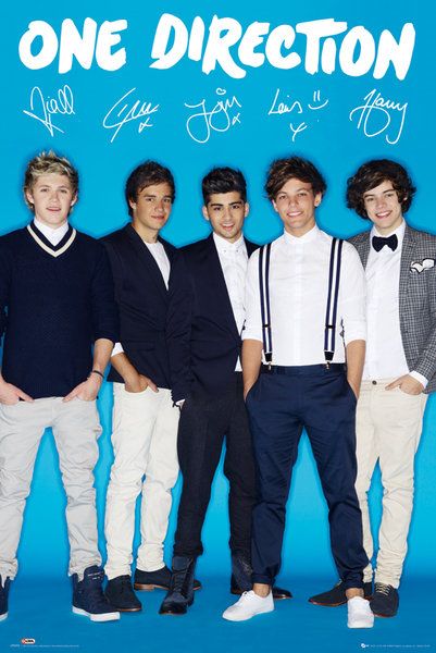 Plakat muzyczny One Direction artyści i autografy | sklep Nice Wall
